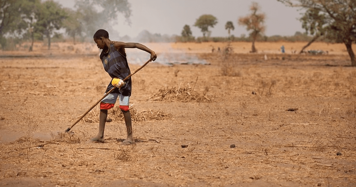 Desertification: 4 Effective Solutions To Revive Degraded Lands