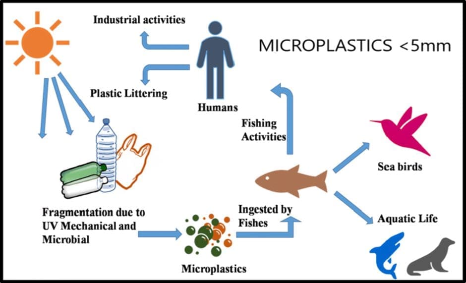 Microplastic Crisis: Can We Truly Have A Plastic-free Future In Africa?