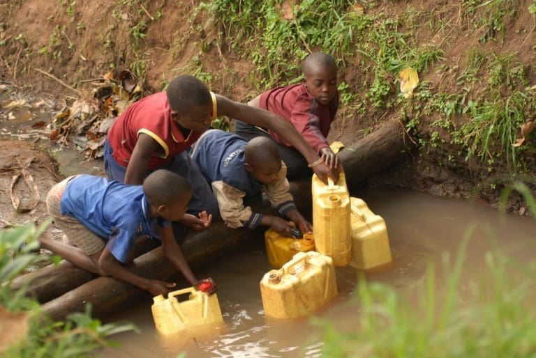 5 Critical Environmental Challenges In Africa In 2024