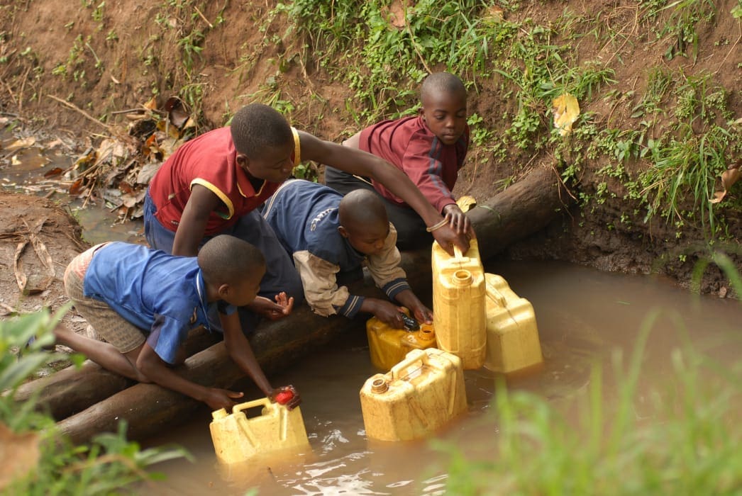 5 Critical Environmental Challenges In Africa In 2024