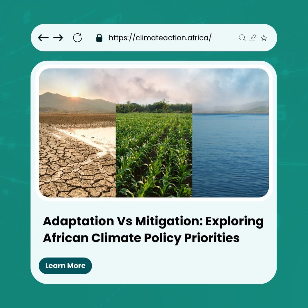 Adaptation Vs Mitigation: Exploring African Climate Policy Priorities