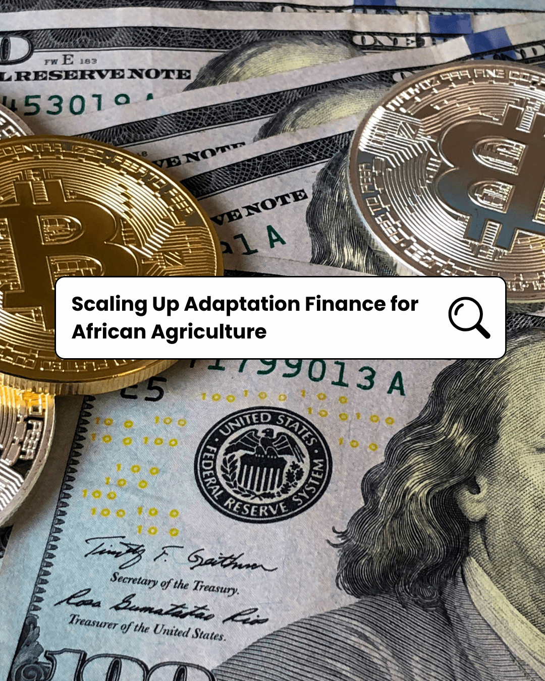 Scaling Up Adaptation Finance In African Agriculture
