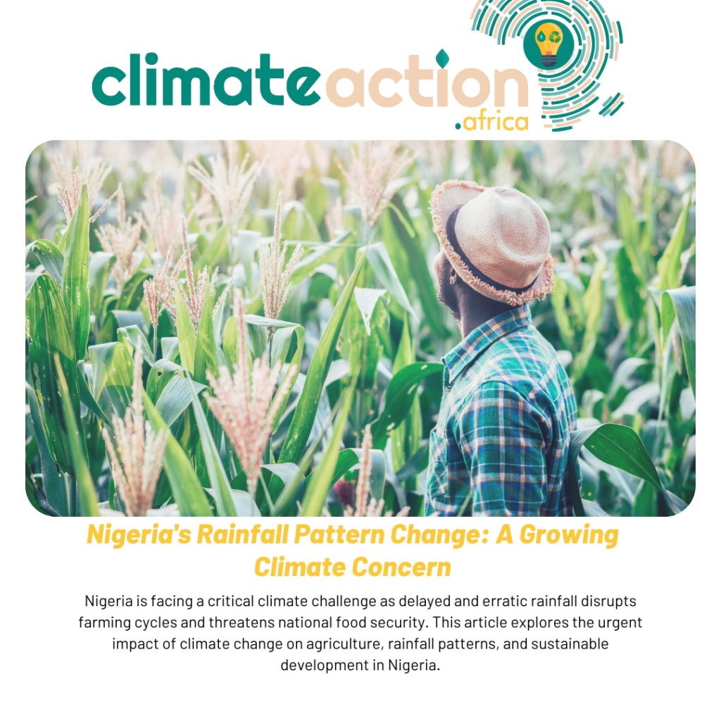 The Road To Cop30 Pioneering Climate Action With Vision And Resolve